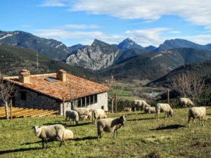 40 Casas Rurales con Granja de Animales para ir con Niños