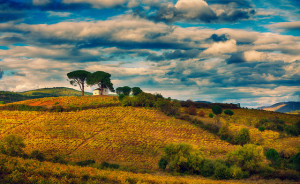 El Bierzo (León) | ¿Qué ver en esta increíble comarca?
