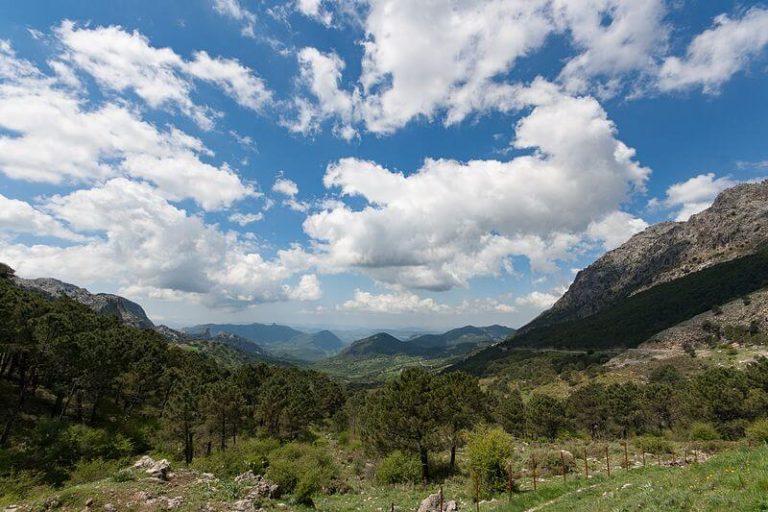 6 Parques Naturales y Espacios Protegidos de Cádiz – Sensación Rural